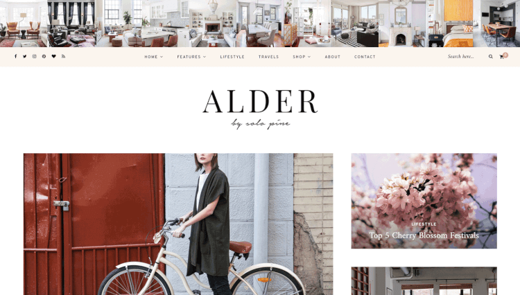 55+ Best Instagram WordPress Themes & Plugins 2025 (Free & Pro) - Theme ...