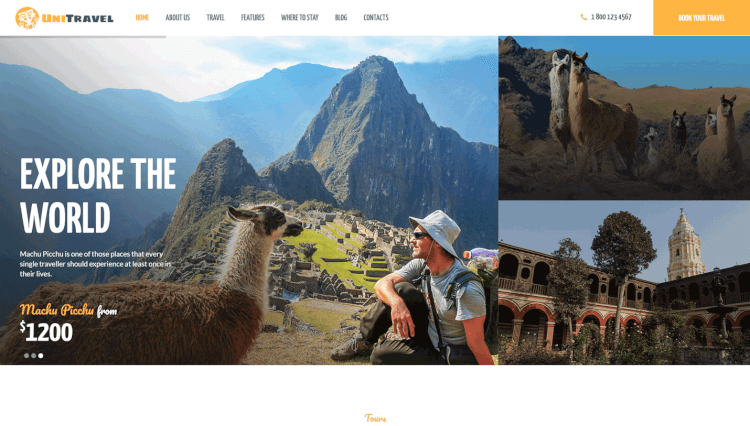 47+ Best Travel Agency WordPress Themes 2025 (Free & Premium) - Theme ...