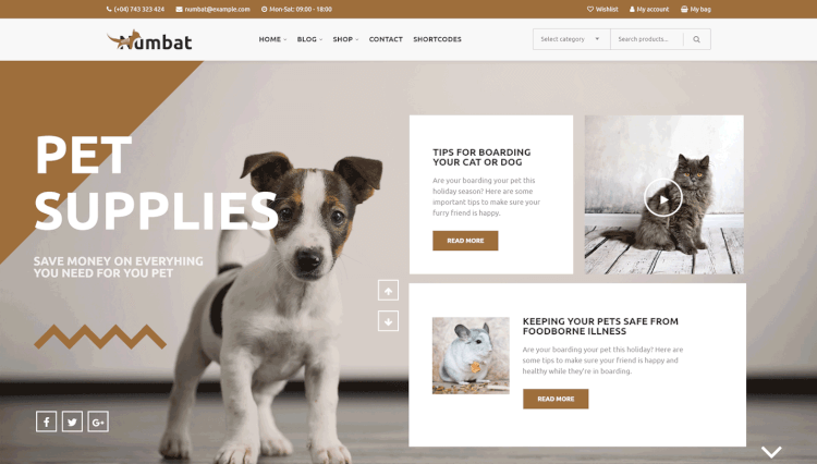 40+ Best Slider Revolution WordPress Themes & Templates 2024 (Free ...