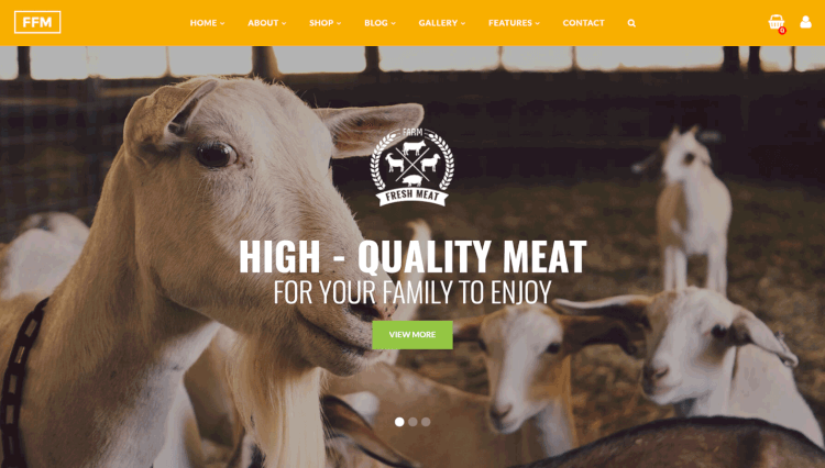 40+ Best Slider Revolution WordPress Themes & Templates 2024 (Free ...