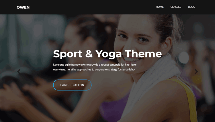 25+ Best Gym WordPress Themes 2018 - Theme Junkie