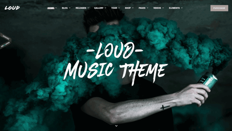 25+ Best WordPress Themes For Musicians & Performers 2024 - desainae.com