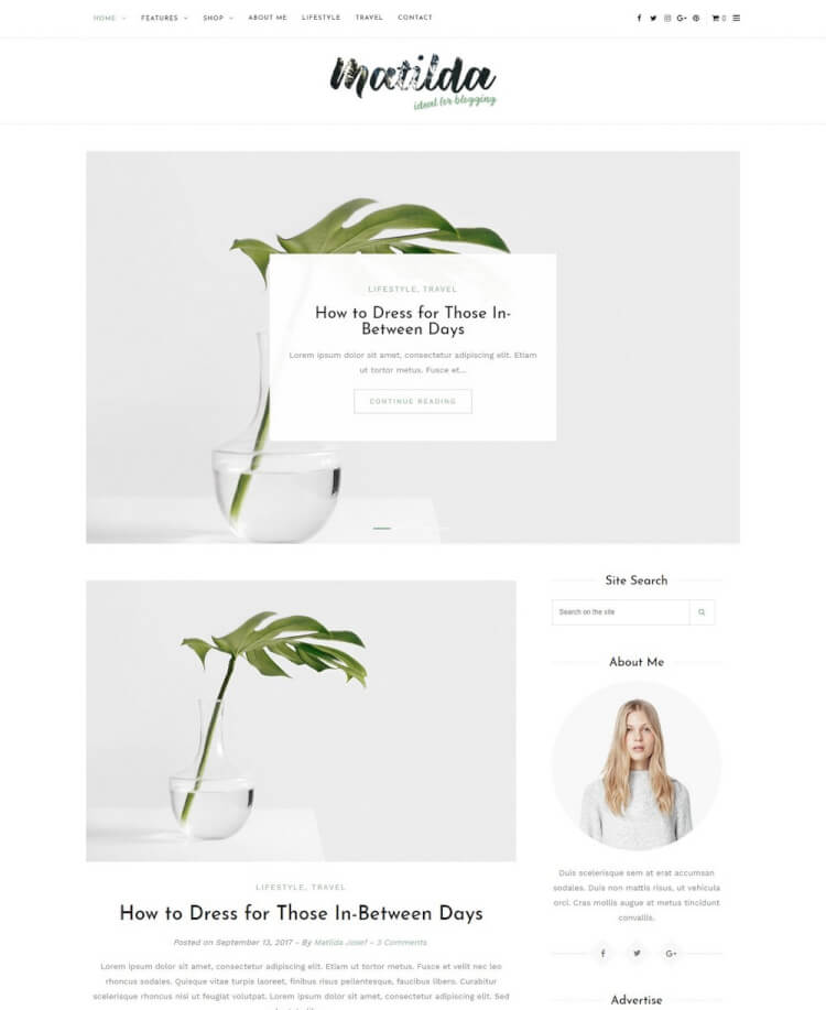 35+ Best WordPress Themes for Blogs – desainae.com