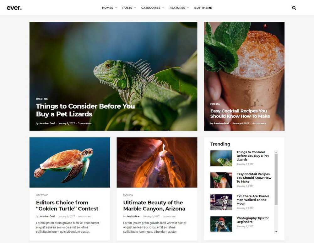50 Best WordPress Themes For Beginners 2023 Free Premium Theme Junkie