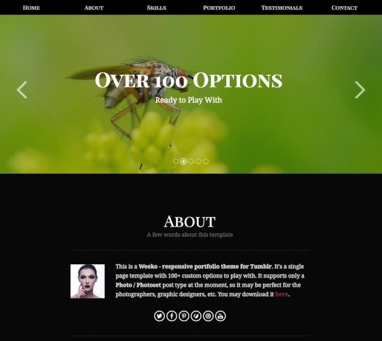 20+ Best Dark Tumblr Themes - Theme Junkie