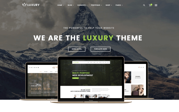 55+ Best Luxury WordPress Themes 2024 (Free & Premium) - Theme Junkie