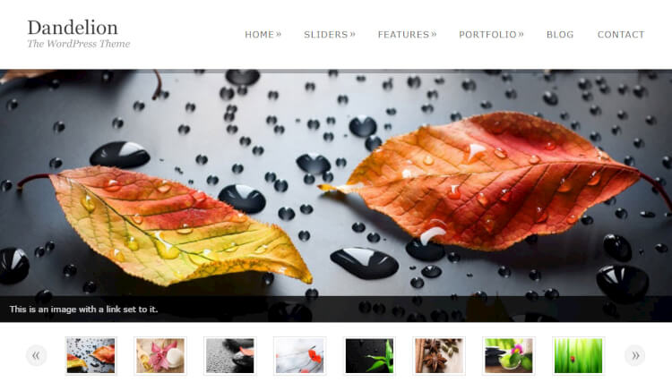 35+ Best Creative WordPress Themes 2024 - desainae.com