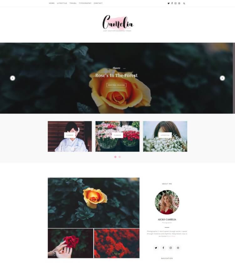 38+ Best Tumblr Themes 2025 - Theme Junkie