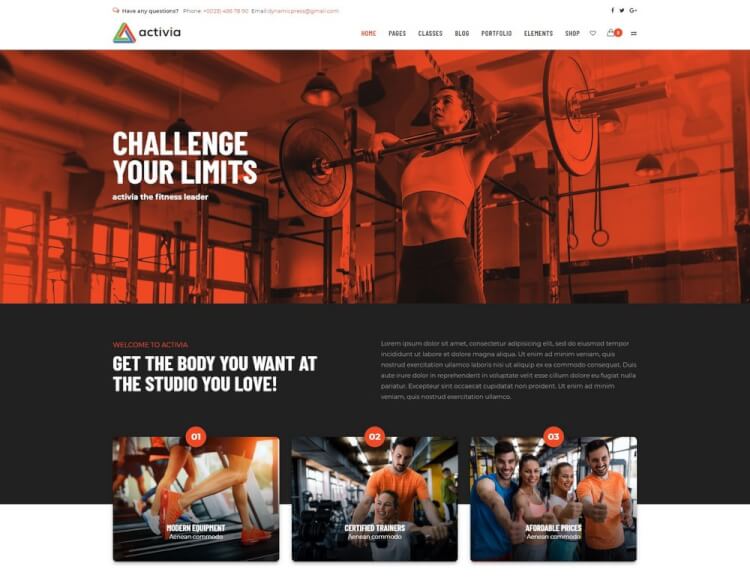 40+ Best Gym WordPress Themes 2024 (Free & Premium) - Theme Junkie