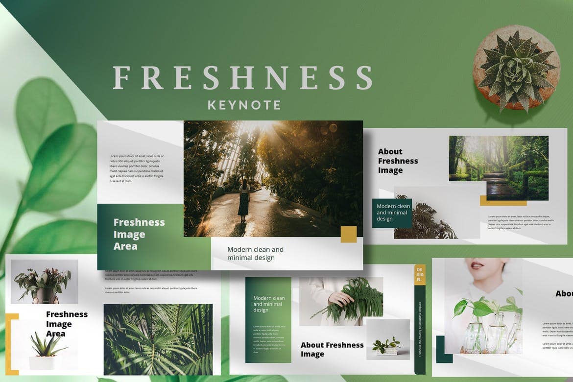 40+ Modern Professional Keynote Templates 2024 - Theme Junkie