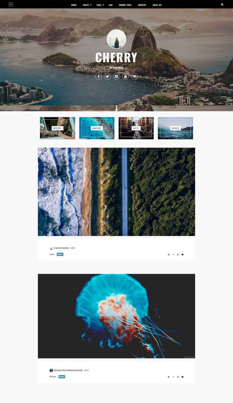 20+ Best Tumblr Themes for Photographers - desainae.com