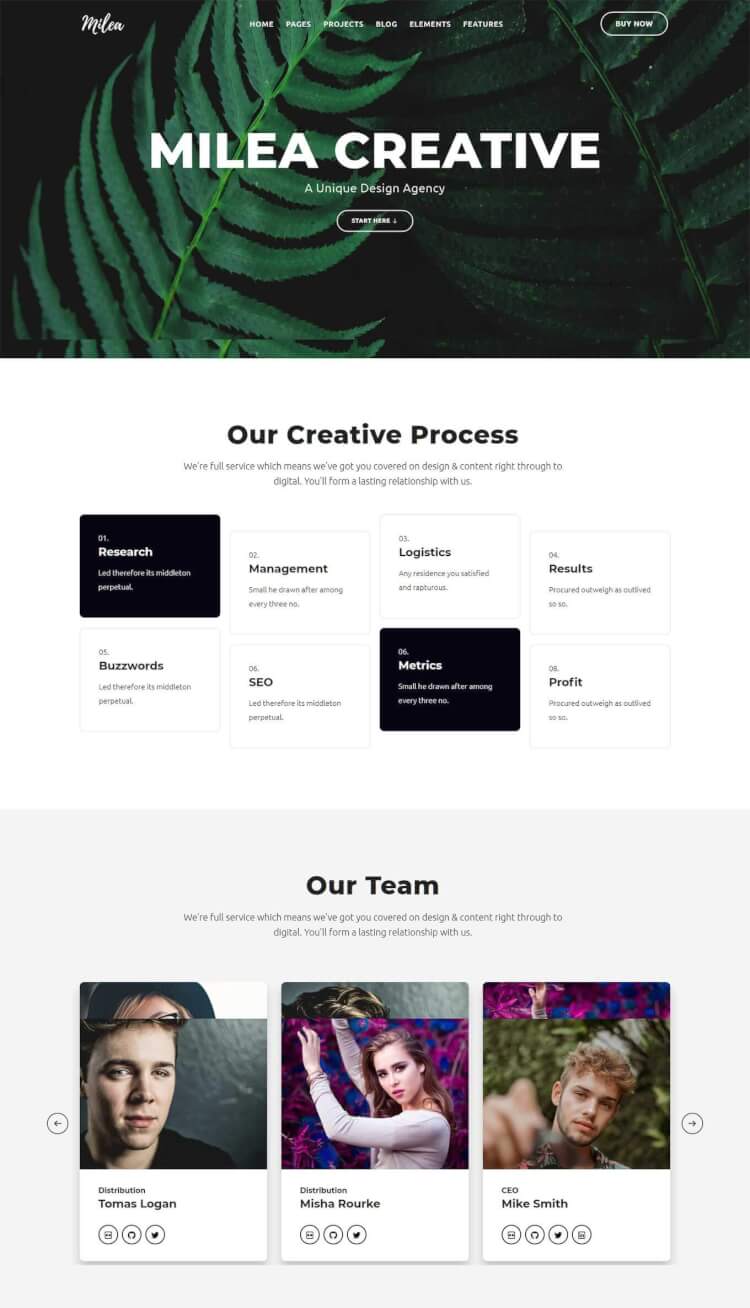 35+ Best Creative WordPress Themes 2024 - desainae.com