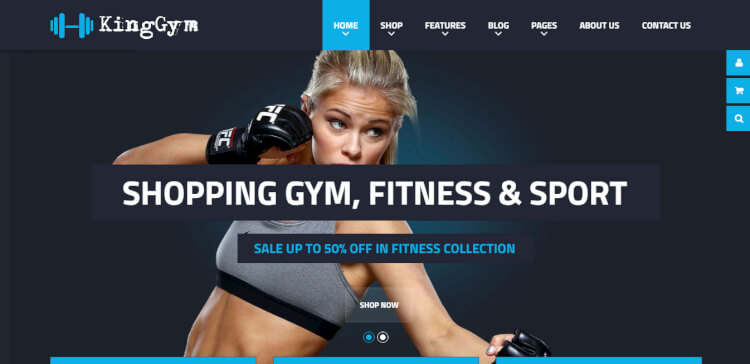 40+ Best Gym WordPress Themes 2024 (Free & Premium) - Theme Junkie