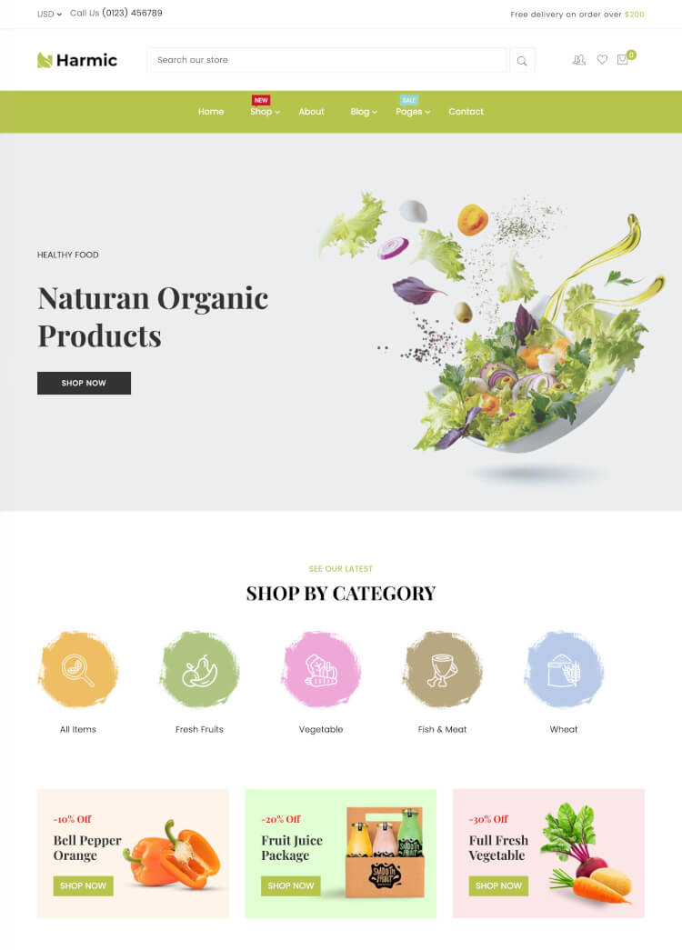 70+ Best Shopify Themes 2025 - Theme Junkie