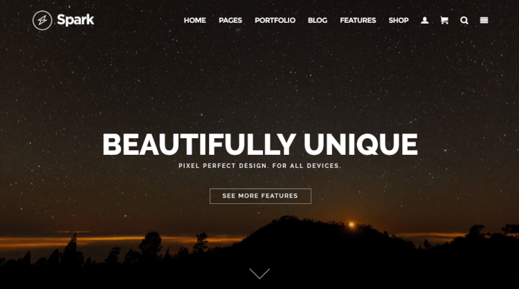 40+ Best Dark WordPress Themes 2024 (Free + Premium) - desainae.com