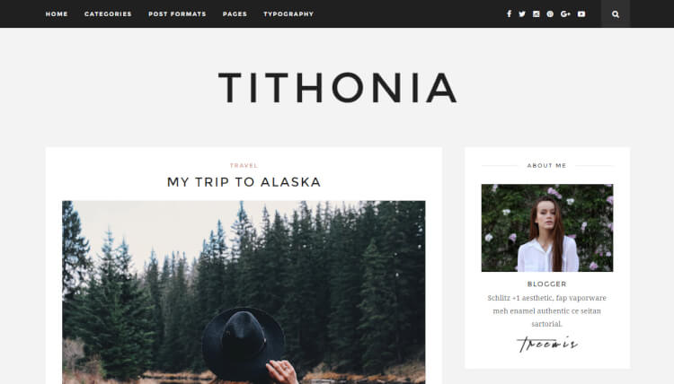 55+ Best Instagram WordPress Themes & Plugins 2025 (Free & Pro) - Theme ...