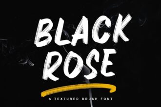 35+ Best Paint Brush Fonts (Free & Pro) - Theme Junkie