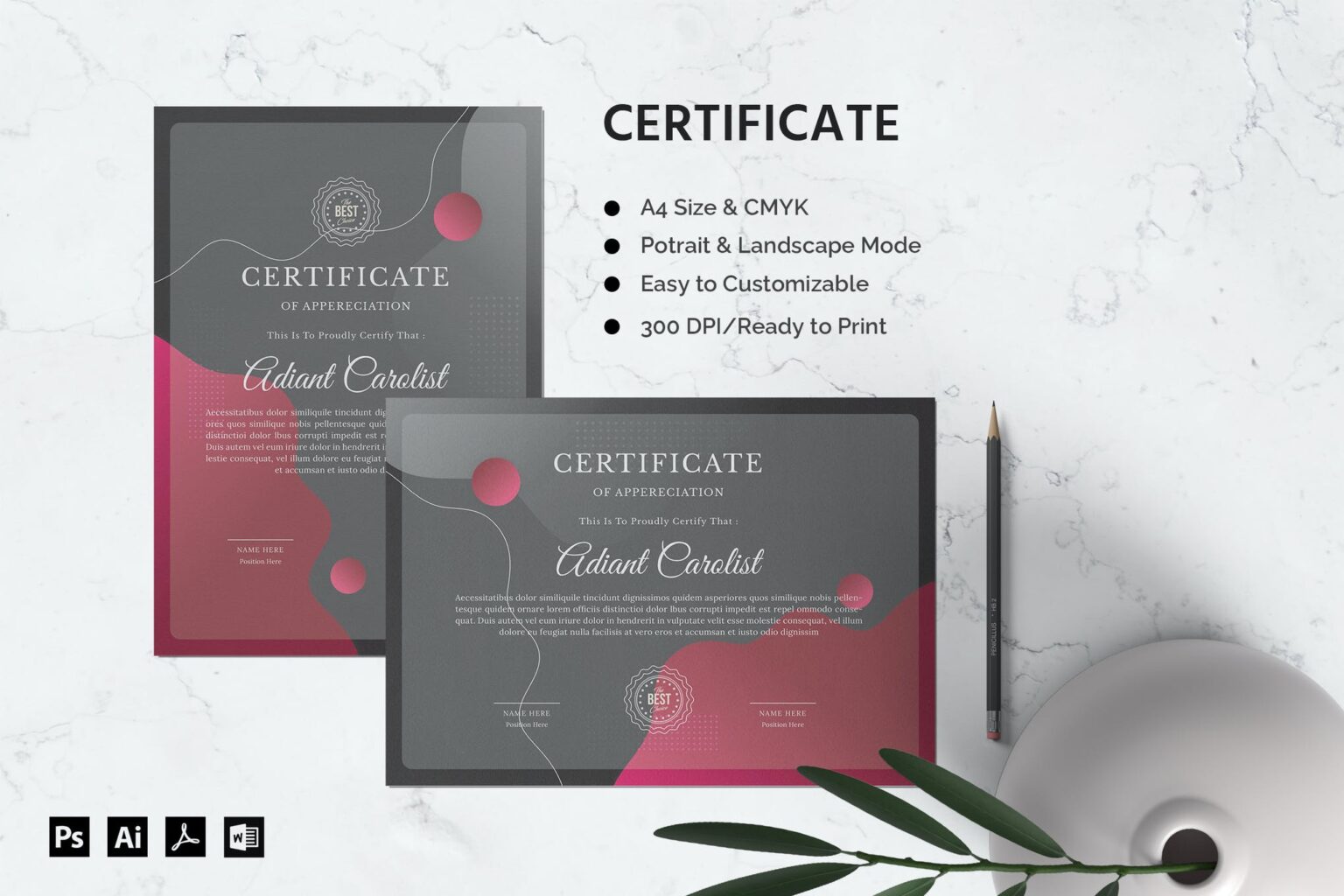 20+ Best Certificate Templates for Microsoft Word 2025 - Theme Junkie