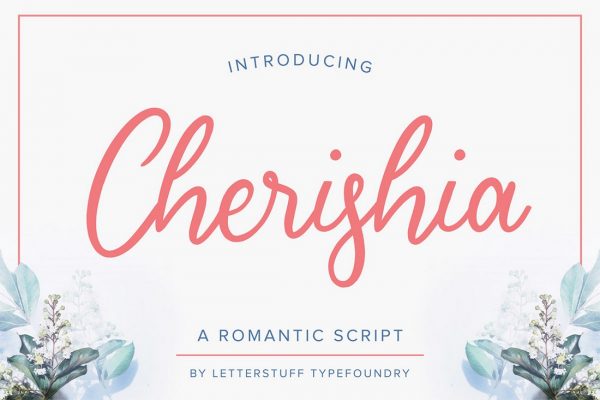 25+ Best Script & Cursive Fonts 2021 | My Star Idea