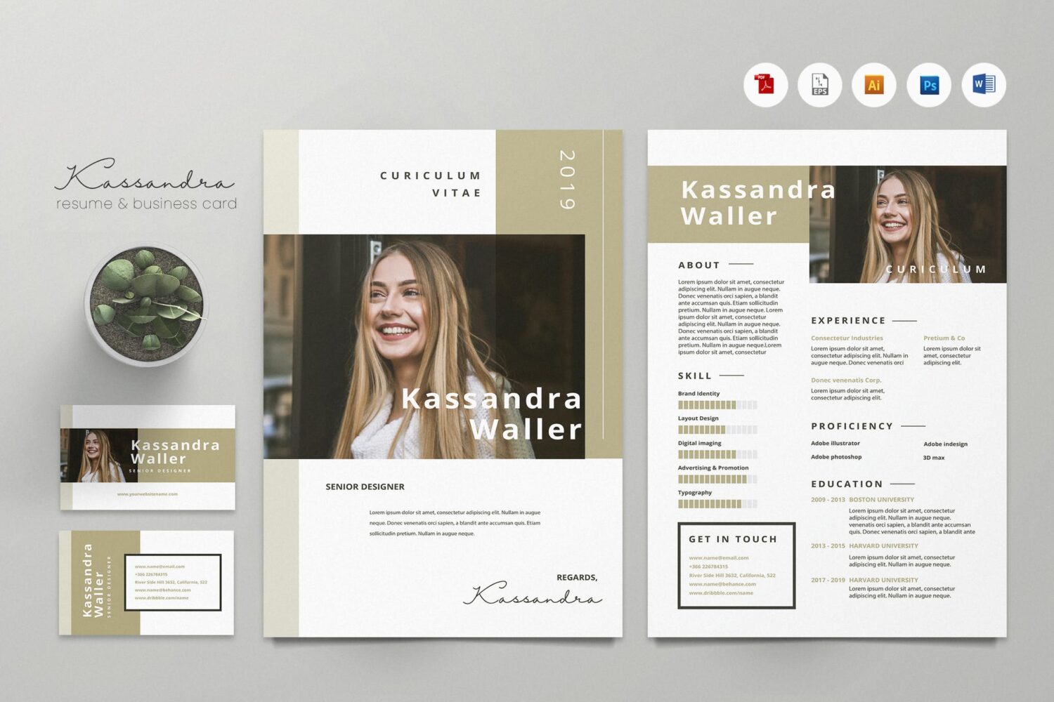 40+ Creative Resume Templates with Unique Designs - Theme Junkie