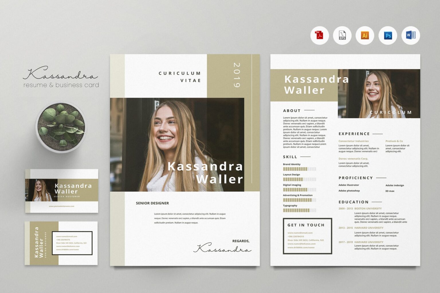 40+ Creative Resume Templates with Unique Designs - Theme Junkie