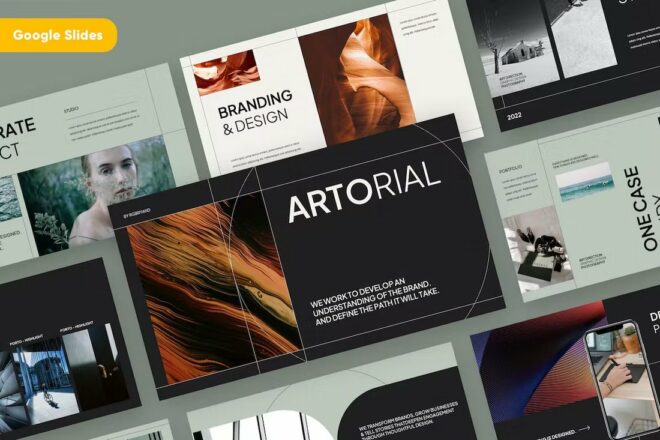 25+ Best Google Slides Portfolio Templates in 2025 - Theme Junkie
