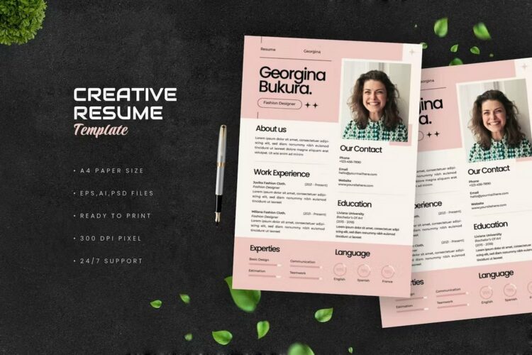 50+ Best CV & Resume Templates 2025 - Theme Junkie