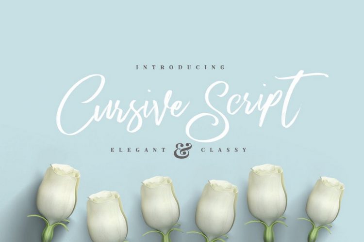 25+ Best Script & Cursive Fonts 2021 | My Star Idea