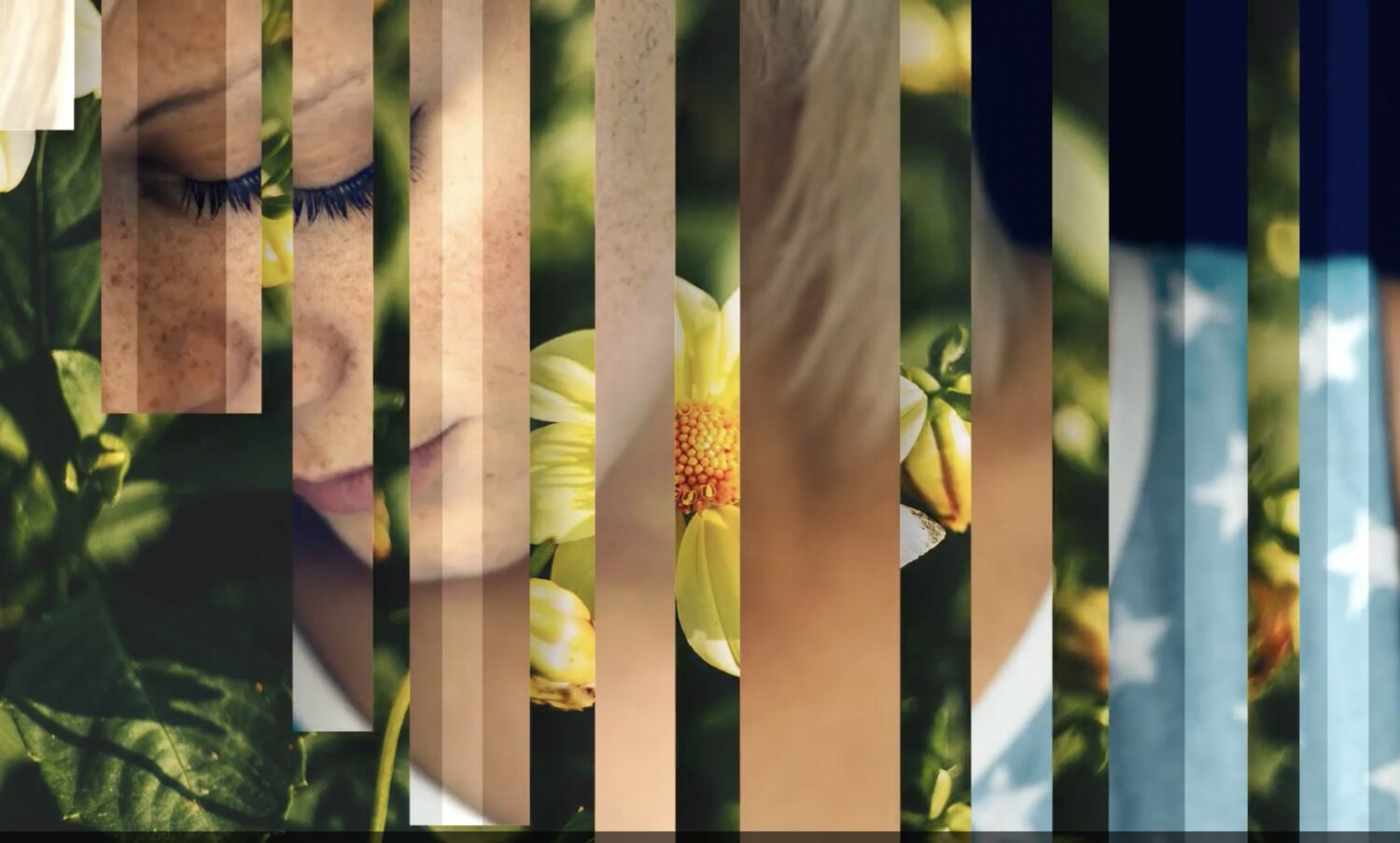 25+ Best Davinci Resolve Transition Packs & Templates 2022 - Theme Junkie