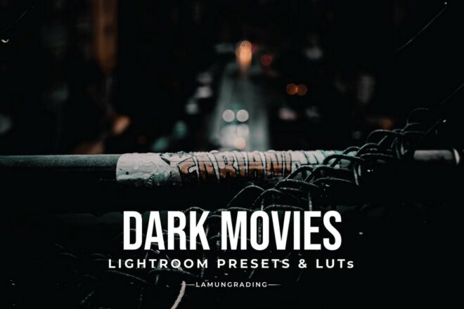 45+ Best Moody Lightroom Presets (+ Free Dark & Moody Presets) 2025 - Theme Junkie