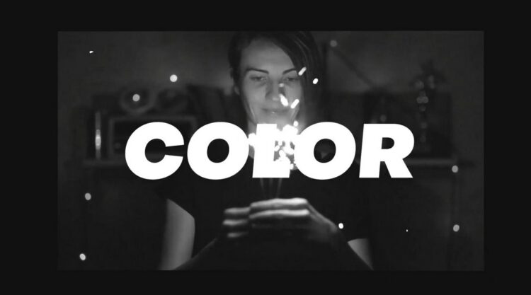 20+ Efek Premiere Pro Hitam + Putih Terbaik 2024 - desainae.com