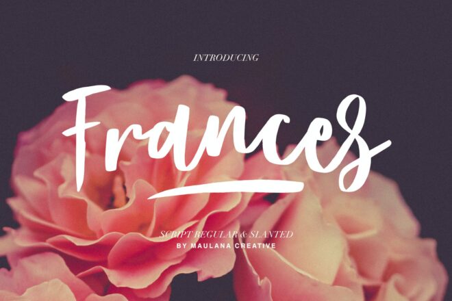 60+ Best Modern Fonts 2024 - Theme Junkie