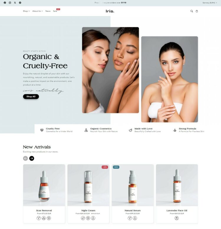 70+ Best Shopify Themes 2025 - Theme Junkie