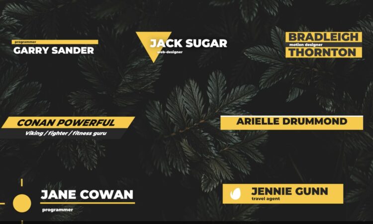 35+ Best Premiere Pro Lower Thirds Templates (Free & Pro) 2025 - Theme ...