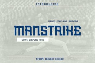 50+ Baseball Fonts (For a Jersey, Shirt, Logo + More) 2025 - Theme Junkie