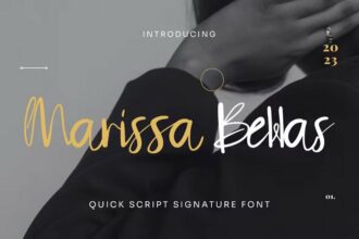 70+ Best Script & Cursive Fonts 2025 - Theme Junkie
