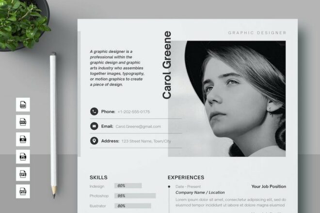 60+ Best InDesign Resume Templates (+ Free CV Templates) 2025 - Theme ...