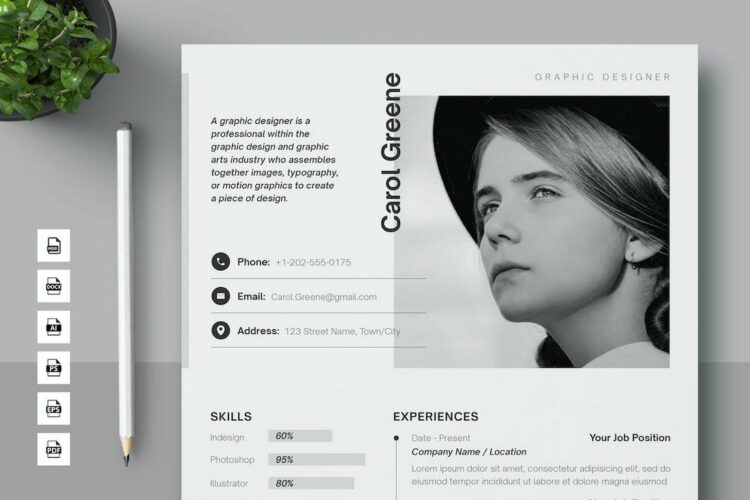 60+ Best InDesign Resume Templates (+ Free CV Templates) 2025 - Theme ...