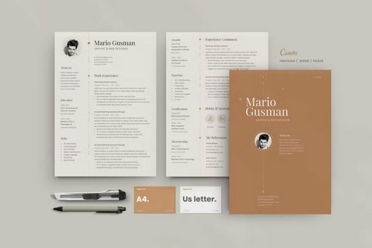 60+ Best InDesign Resume Templates (+ Free CV Templates) 2025 - Theme ...
