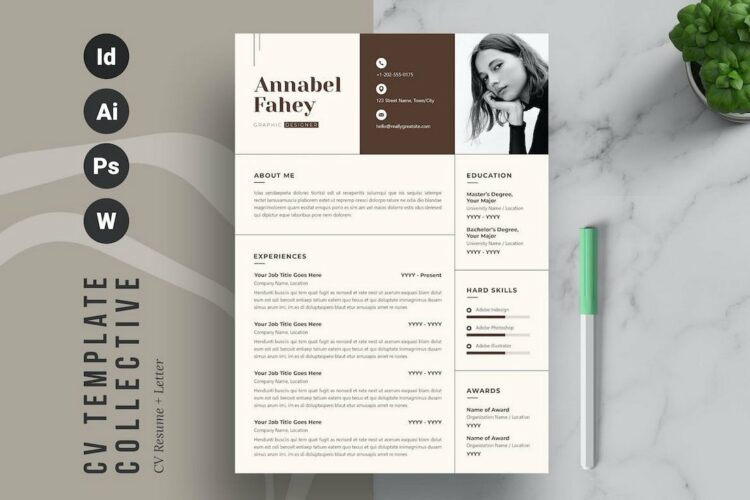 60+ Best InDesign Resume Templates (+ Free CV Templates) 2025 - Theme ...