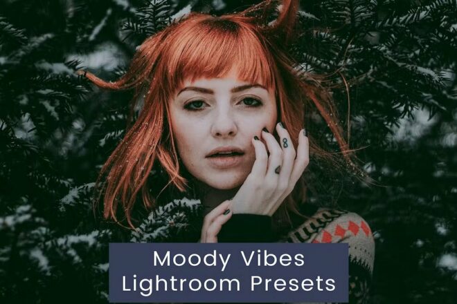 45+ Best Moody Lightroom Presets (+ Free Dark & Moody Presets) 2025 - Theme Junkie