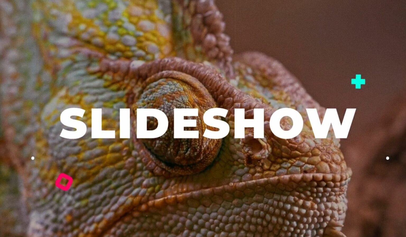 70+ Best DaVinci Resolve Slideshow & Photo Templates 2025 - Theme Junkie