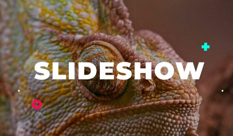 70+ Best DaVinci Resolve Slideshow & Photo Templates 2025 - Theme Junkie