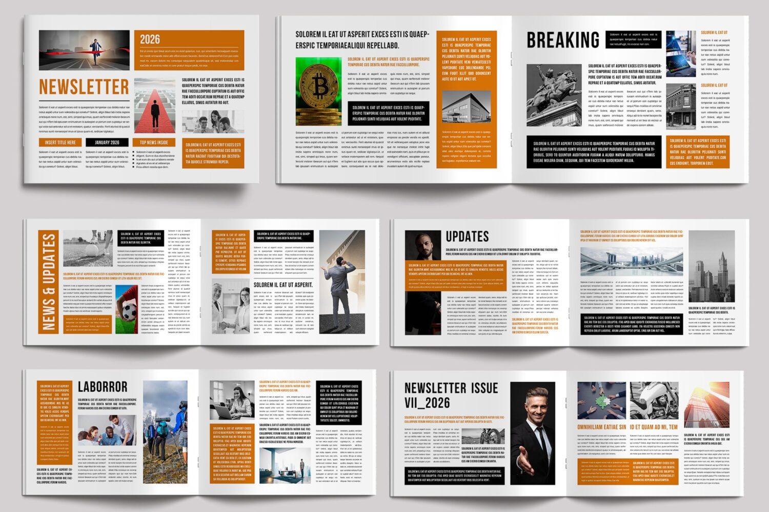 50+ Best InDesign Newsletter Templates (Free & Pro) 2025 - Theme Junkie