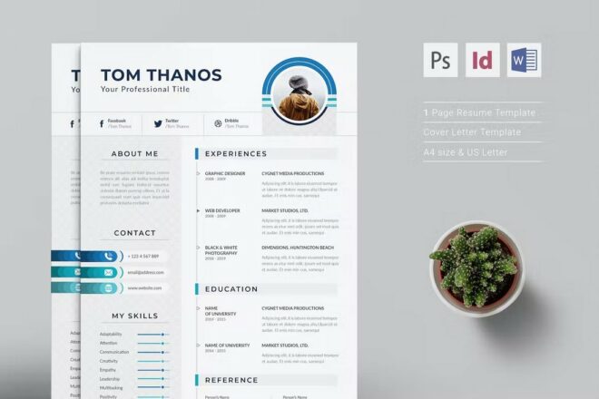 50+ Best InDesign Resume Templates (+ Free CV Templates) 2023 - Theme ...