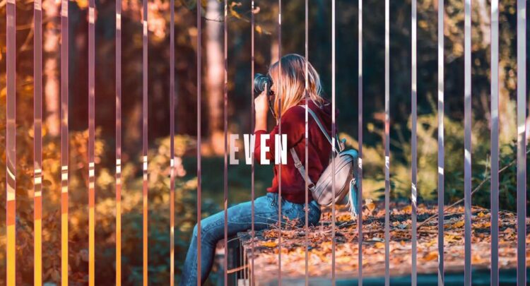 70+ Best DaVinci Resolve Slideshow & Photo Templates 2025 - Theme Junkie