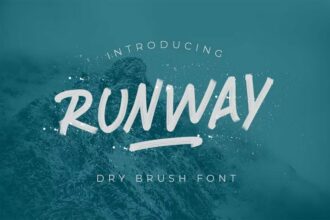 35+ Best Paint Brush Fonts (Free & Pro) - Theme Junkie