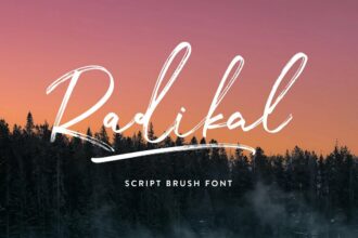 35+ Best Paint Brush Fonts (Free & Pro) - Theme Junkie