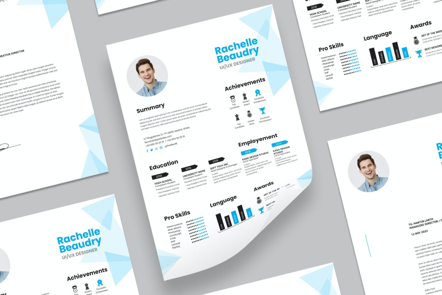 50+ Best CV & Resume Templates 2025 - Theme Junkie