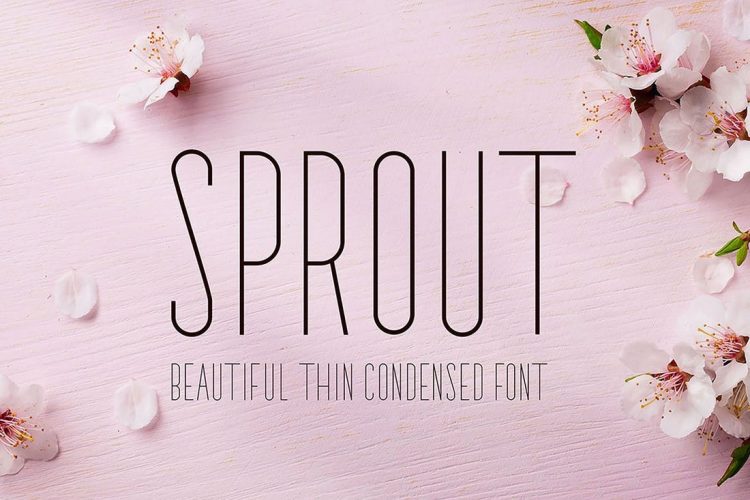 60+ Best Narrow, Condensed + Slim Fonts 2025 - Theme Junkie